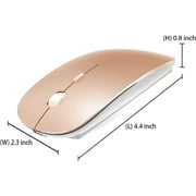 Mouse Without Scroll Wheel