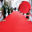 Wide Rug Floor Red Carpet Aisle Runner - 3' x 10' - Multiple Sizes, For ...