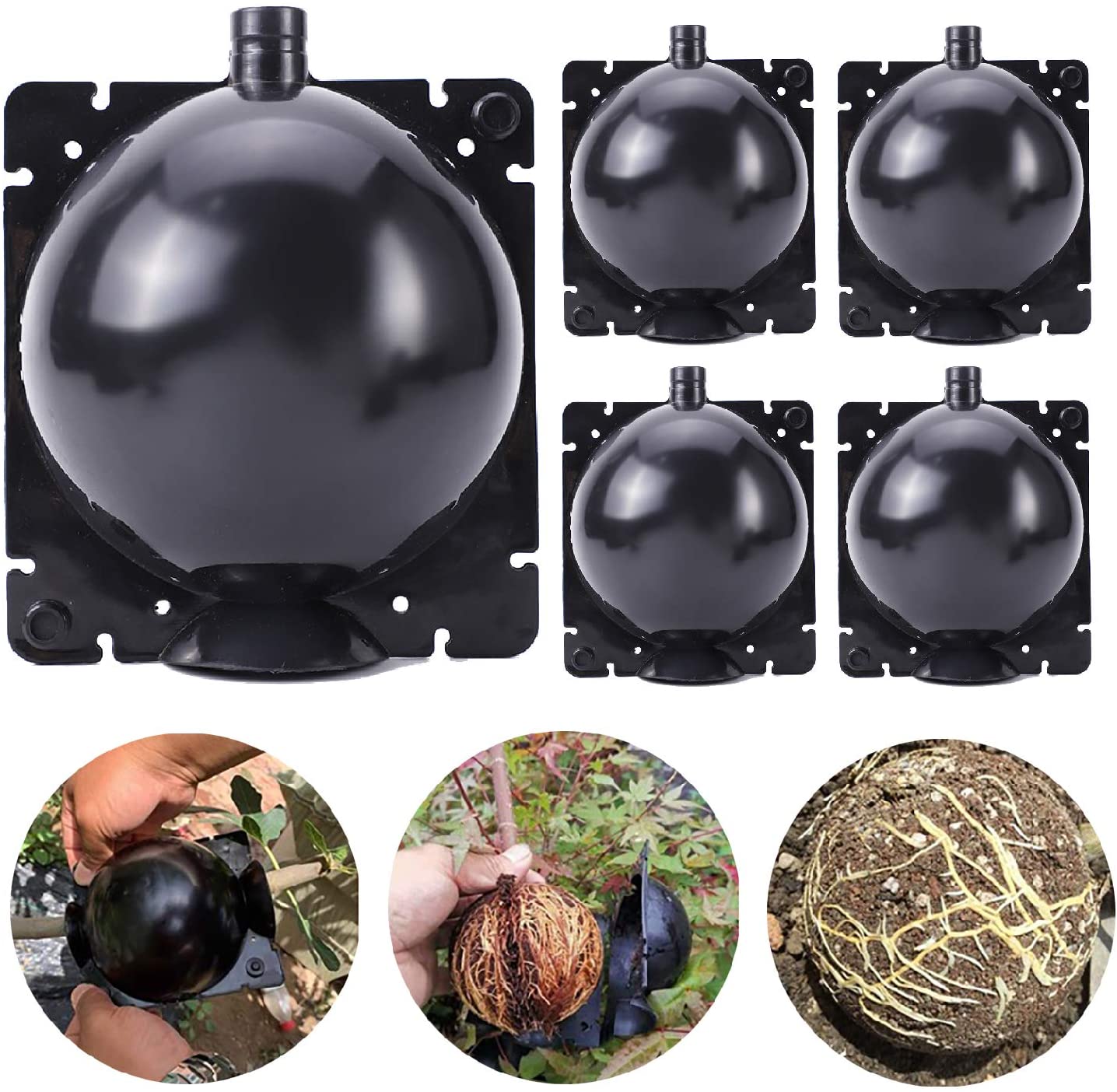 Plant Grafting Rooting Box - Garden High-Pressure Plant Rooting and ...