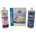 Natural Chemistry Swimming Pool Salt Water Magic Closing Chemical Kit ...