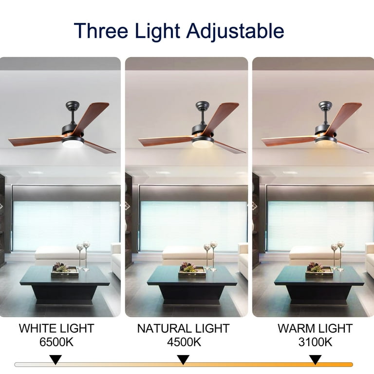 Drop Down Ceiling Fans | Shelly Lighting