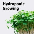 Biostrate Hydroponic Growing Mats - Pack of 10 - For 10" x 20 ...