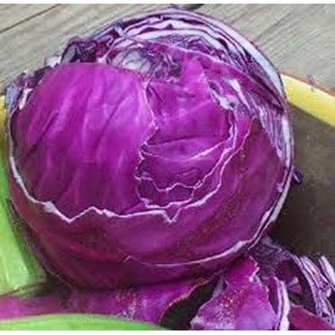 Organic Red Acre Cabbage Garden Seeds - 4 g Packet ~900 Seeds ...