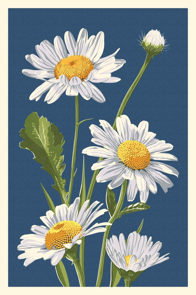 Daisy, Letterpress (16x24 Giclee Gallery Art Print, Vivid Textured Wall ...