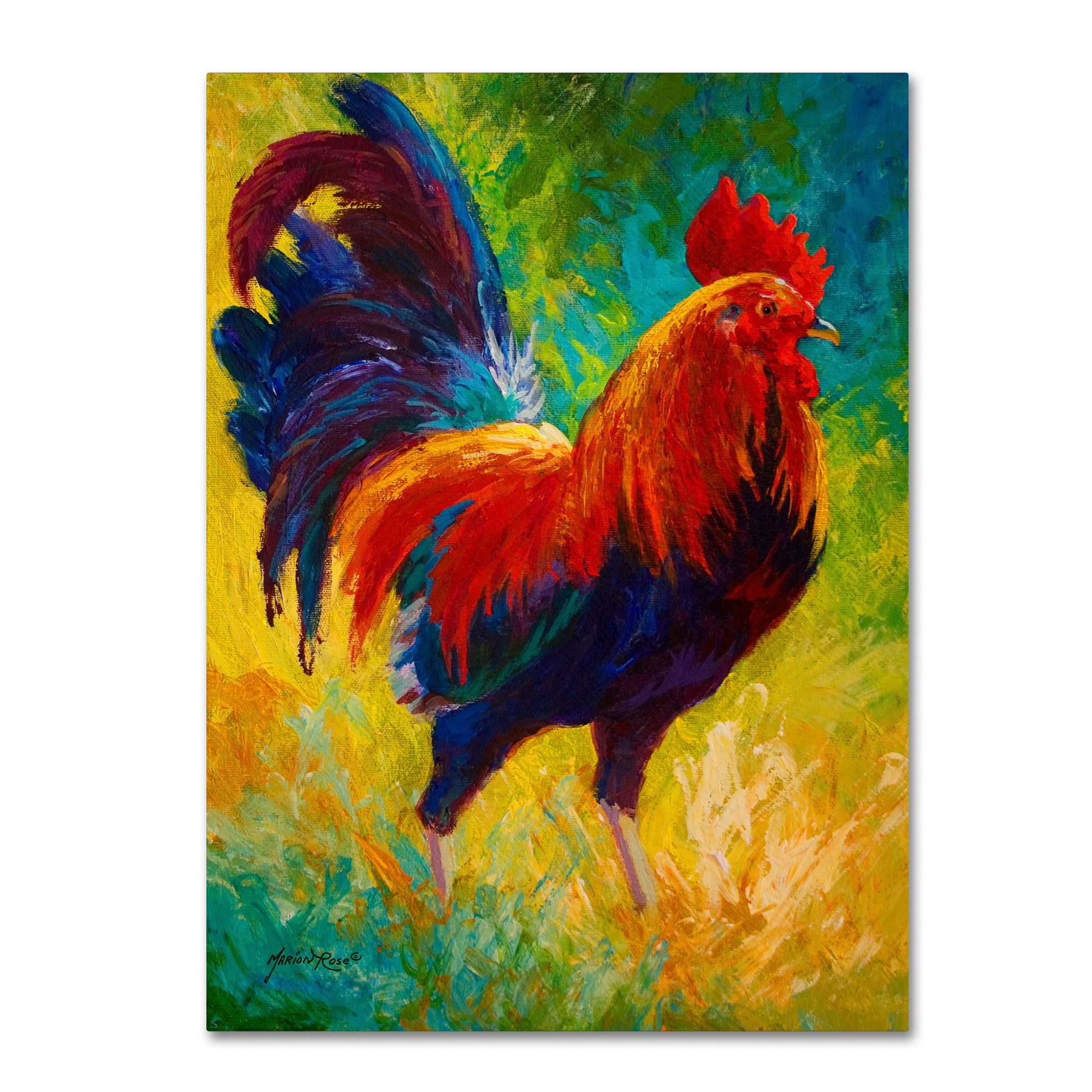 Trademark Fine Art 'Hot Shot Rooster' Canvas Art by Marion Rose ...