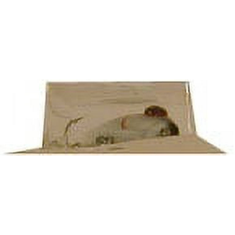 Mirrolure Top Dog Jr