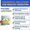 Bark&Spark Dog Probiotics Chews with Digestive Enzymes Pumpkin ...