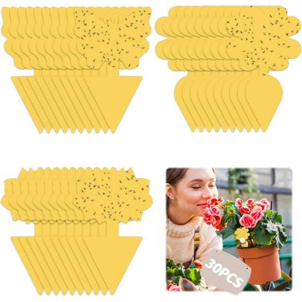 30 piezas de trampas para moscas, atrapamoscas de papel amarillo ...