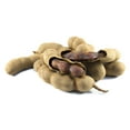 Morel Distribution, Whole Tamarind Pods, Tamarindo 1Lb, All Natural ...
