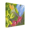 Trademark Fine Art Tropical Monotype V Canvas Art by Carolyn Roth ...