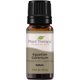 Plant Therapy Egyptian Geranium Essential Oil 100% Pure, Undiluted ...
