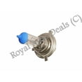 H4 12V Globes 130/100W HQ QTZ P43T Halogen Lamp Bulb (Night Fighter ...