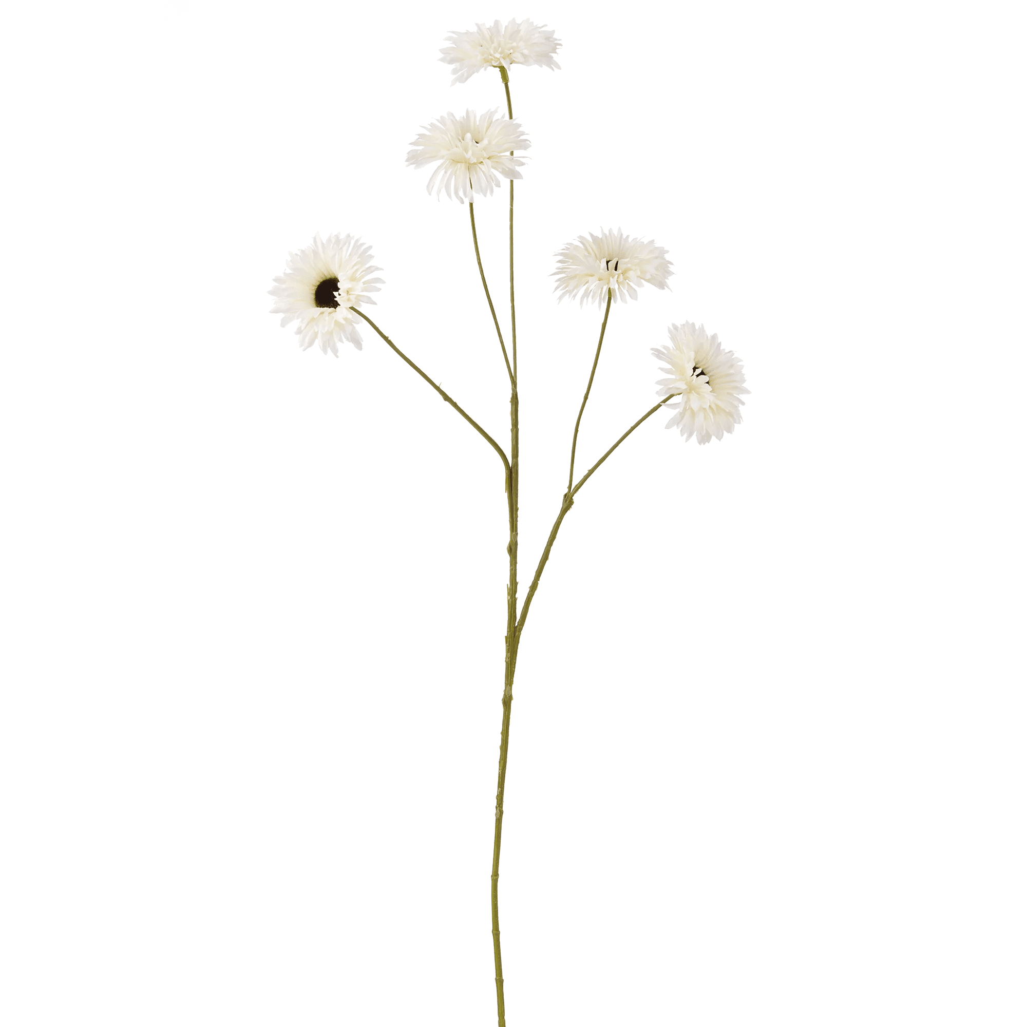 Click here for Bouclair White Artificial Daisy 4.5 X 6 X 26 In (1... prices