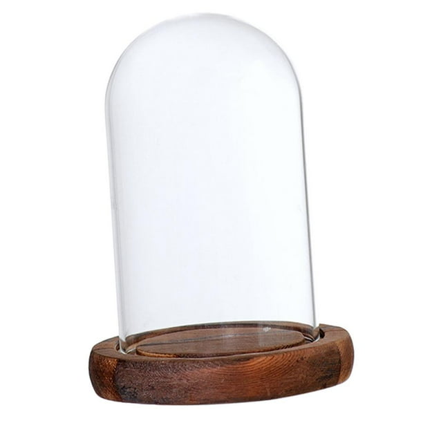 Decorative Glass Cloche Bell Jar Dome with Wooden Base Display Decor ...