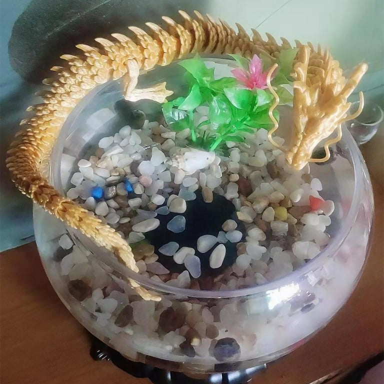 Dragon Fish At Walmart