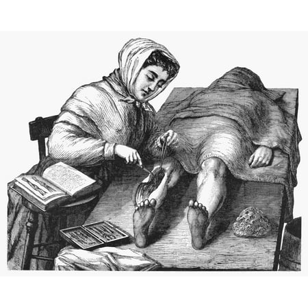 Dissection, 19Th Century. /Na Female Medical Student Studying ...