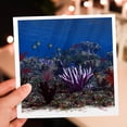 3drose, the Colorful Life of the Sea. a Wonderful Underwater Scene, 12 ...