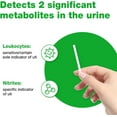 Easy@Home Urinary Tract Infection Urine Health Test, 25 Count - Walmart.com