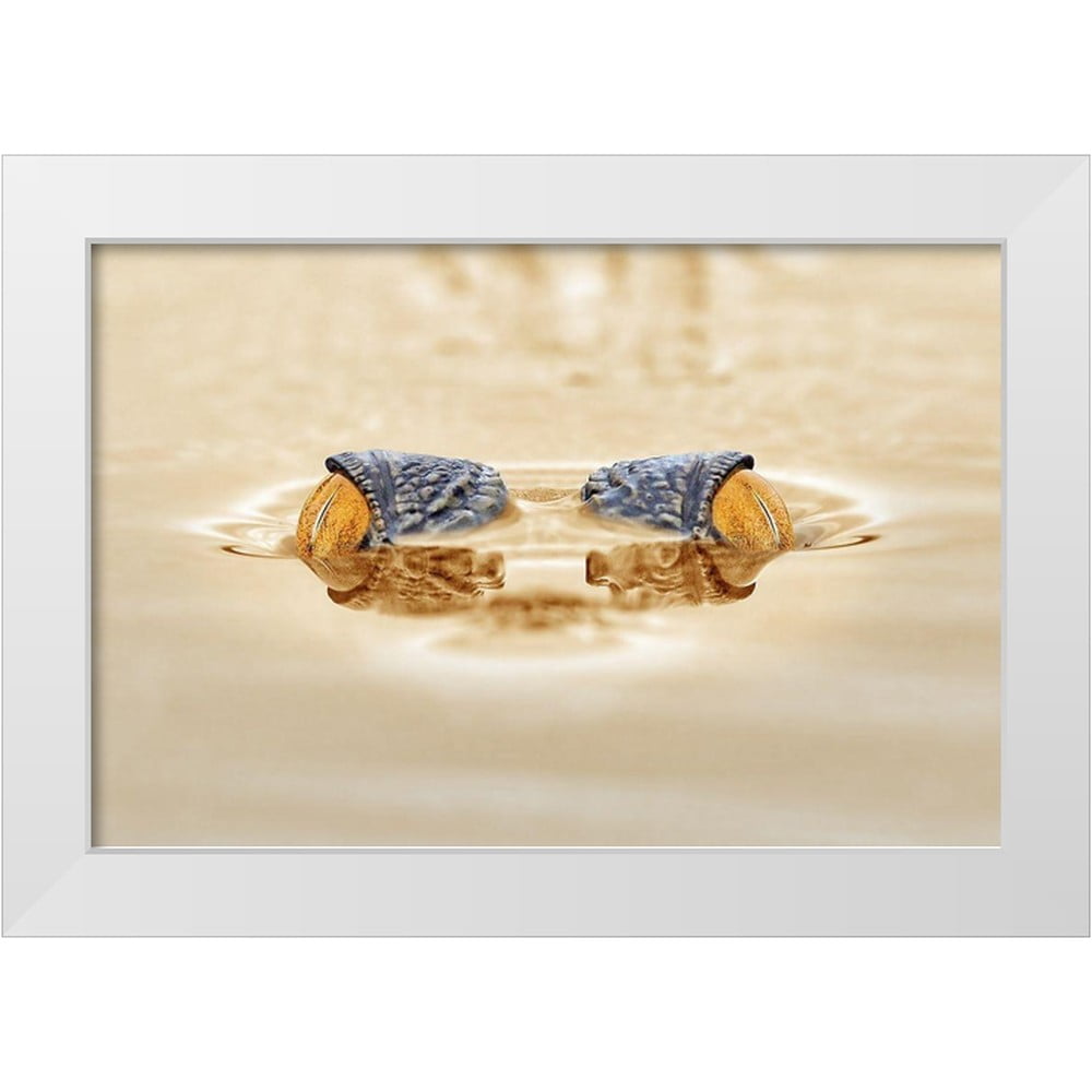 Priyadi, Andri 18x13 White Modern Wood Framed Museum Art Print Titled ...