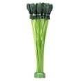 Bunch O Balloons: 100 Rapid-Filling, Self-Sealing Water Grenades ...