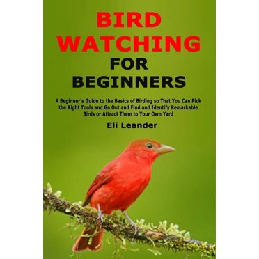 Bird-Watching Basics: Stan Tekiela's Birding for Beginners: Southwest: Your Guide to Feeders ...