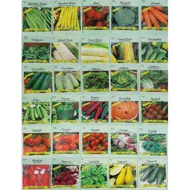 Heirloom Vegetable Garden Seeds Set - Pack of 40 Assorted Non-GMO ...