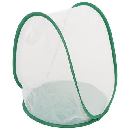 Butterfly Mesh Cage,Large Green Insect Mesh Insect Mesh Cage Butterfly ...