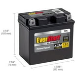 Free Shipping! EverStart AGM PowerSport Battery, Group Size TZ7S, 12V ...