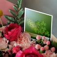3drose, Beautiful Green and Gold Shamrocks, Good Health, Good Luck and ...