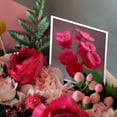 3drose, Macro Photograph of Crown of Thorns Flowers in Bloom., 6 ...