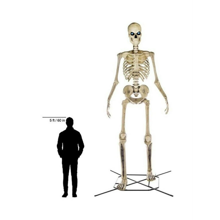 Home Accents Holiday 12 Ft Giant-Sized Skeleton, 41% OFF