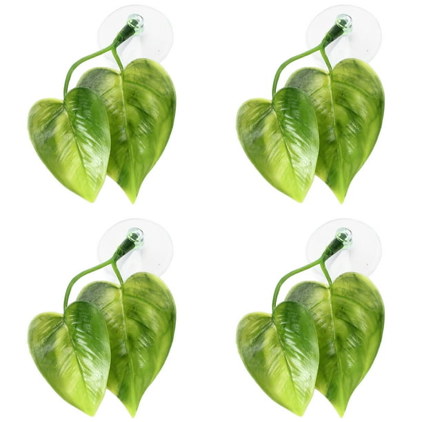 Betta Resting Spot,4pcs Betta Fish Leaf Betta Fish Leaf Betta Leaf ...