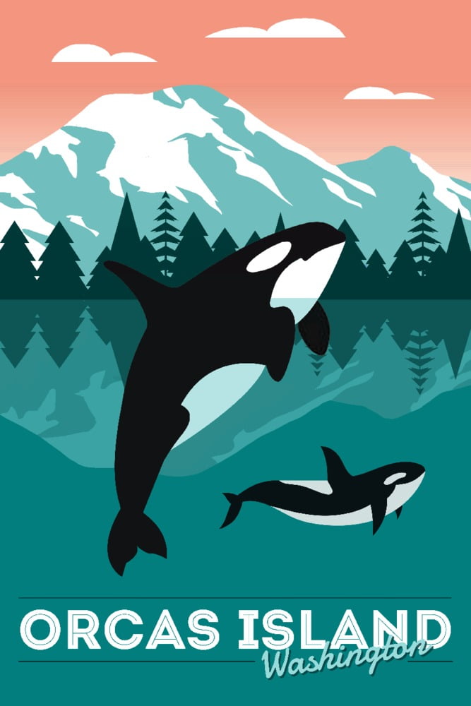 Orcas Island, Washington, Orca Whale and Calf, Go Freestyle (16x24 ...