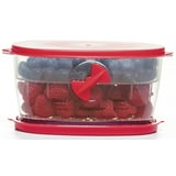 Prepworks Fresh Produce Container, Plastic Berry Keeper, Clear and Red ...