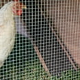 Precision Pet Cape Cod Chicken Coop - Walmart.com