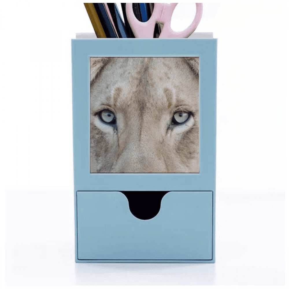 m Animal White Lion Desk Supplies Organizer Pen Holder Card - Walmart.com