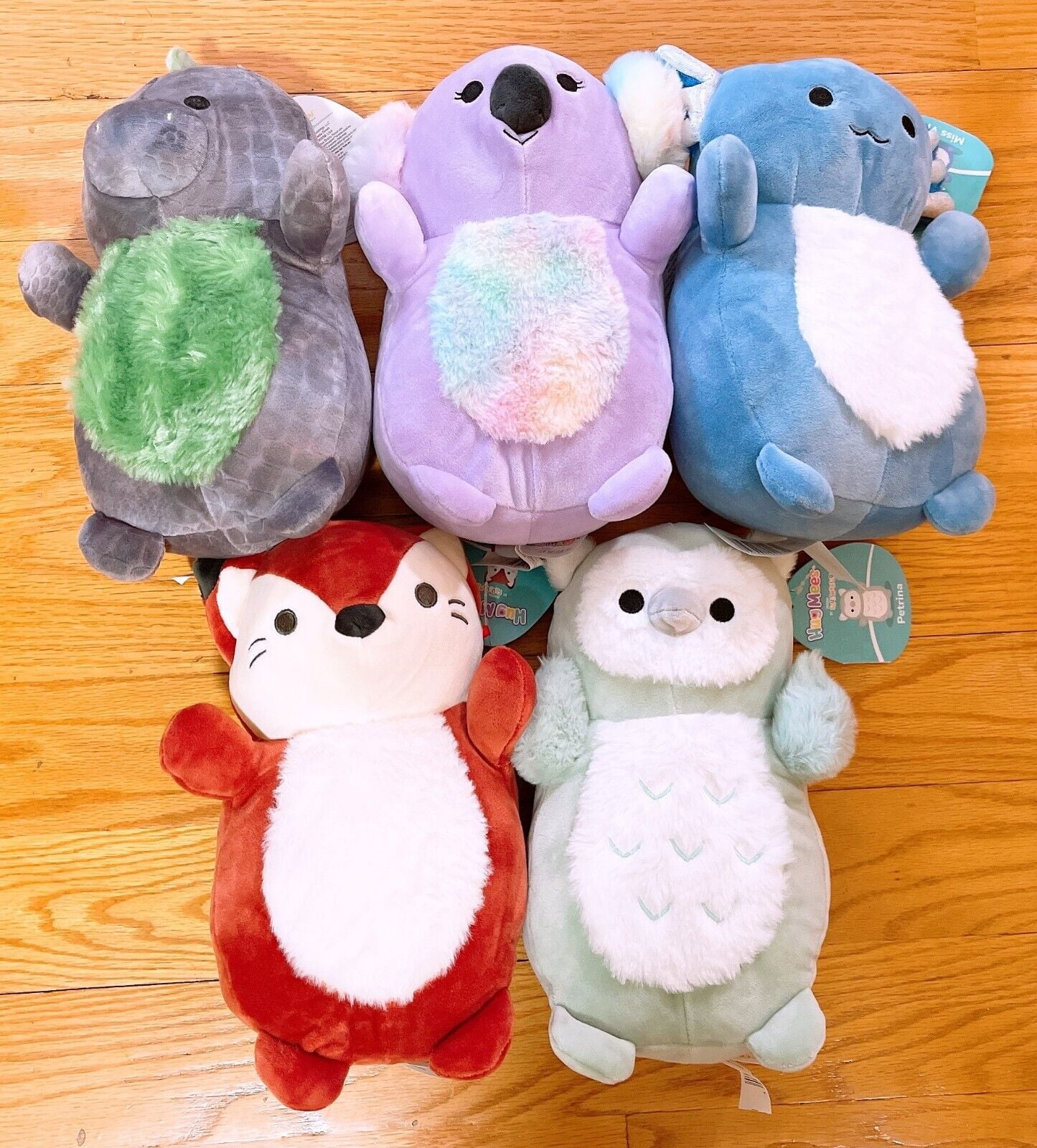 Set of 5 Squishmallows HugMees 10" James MissV Xander Renate Petrina ...