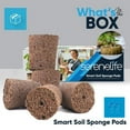Indoor Garden Smart Sponge Pods - Replacement Seed Sprouter Seedling ...
