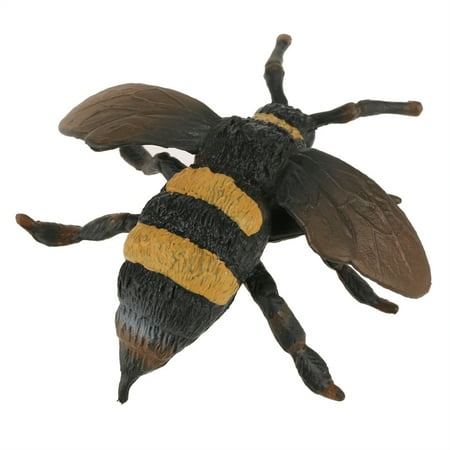 Domqga Insect Model Kit, Insect Model,8Pcs/set Plastic 3D Insect Model ...