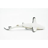 Shark, Black Tip Reef Shark, Museum Quality, Hand Painted, Rubber Fish ...