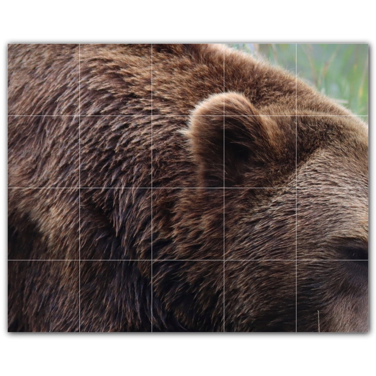 Picture-Tiles.com: Bear Ceramic Tile Wall Mural WAL500124-54XL. 60"W x ...