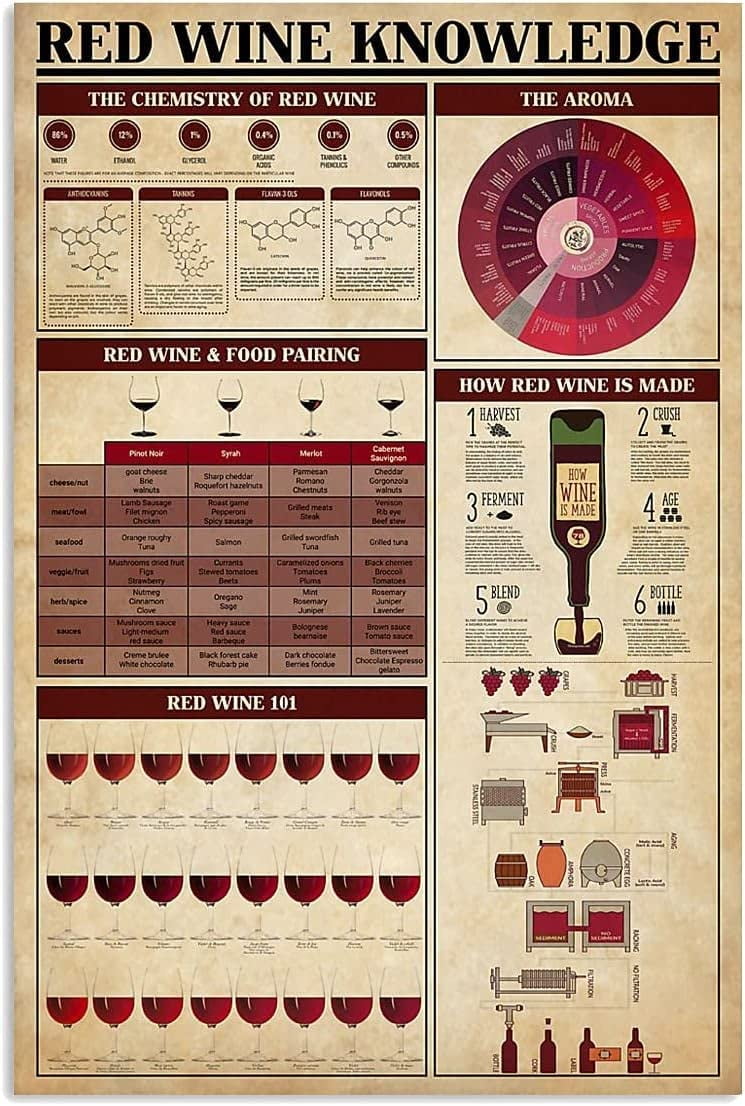 Wine Infographic Poster