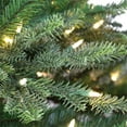 NEW! Puleo Intl. 7.5' ROYAL MAJESTIC Douglas Fir Downswept Tree with REAL LIFE MOLDED TIPS and ...