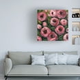 Trademark Fine Art Grace Popp Wiliest Roses II Canvas Wall Art ...