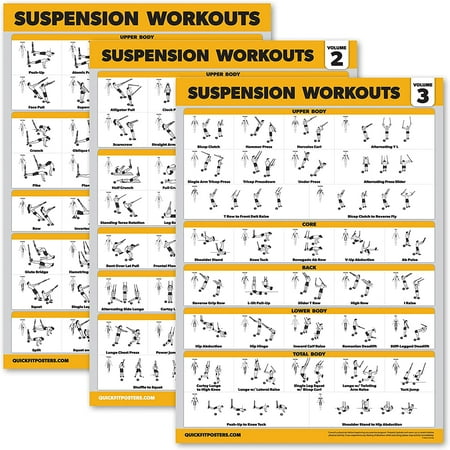Palace Learning 3 Pack Suspension Workout Posters - Volume 1, 2 & 3 ...