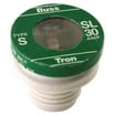 Bussmann 30 Amp Time Delay Edison Base Plug Fuse, 4-Pack, 125V UL ...