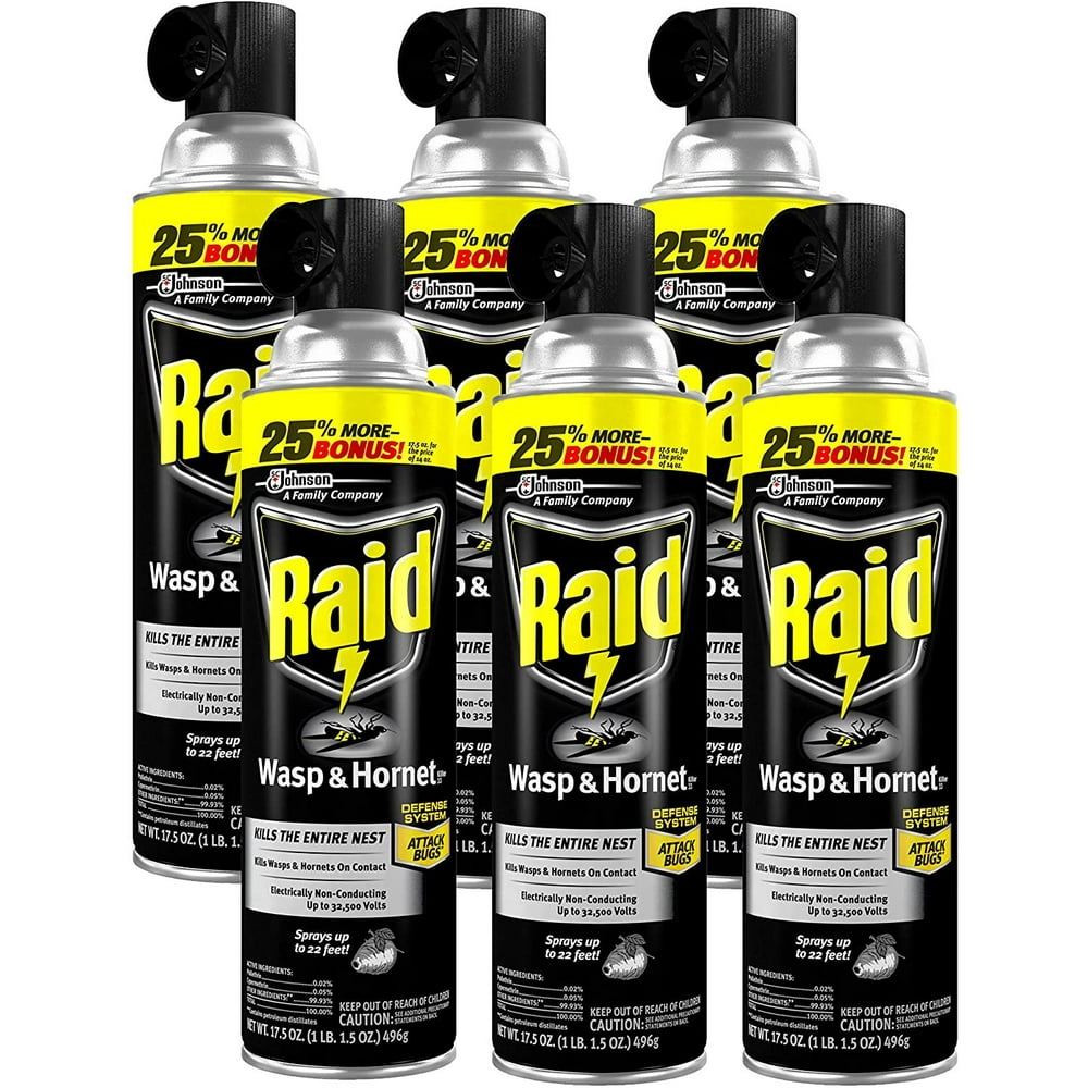 Raid Wasp and Hornet Killer, 17.5-Ounce (Pack Of 6) - Walmart.com ...