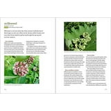 Midwest Foraging - Paperback - Walmart.com