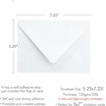 5 25 X 7 25 Envelope