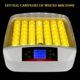 42-Egg Automatic Incubators for Hatching Eggs, Practical Fully ...